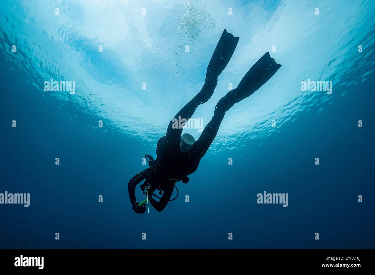 diver exploring the clear water around Raja Ampat Stock Photo - Alamy