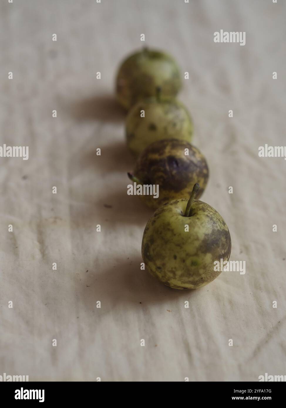 Tiny apples hi-res stock photography and images - Alamy