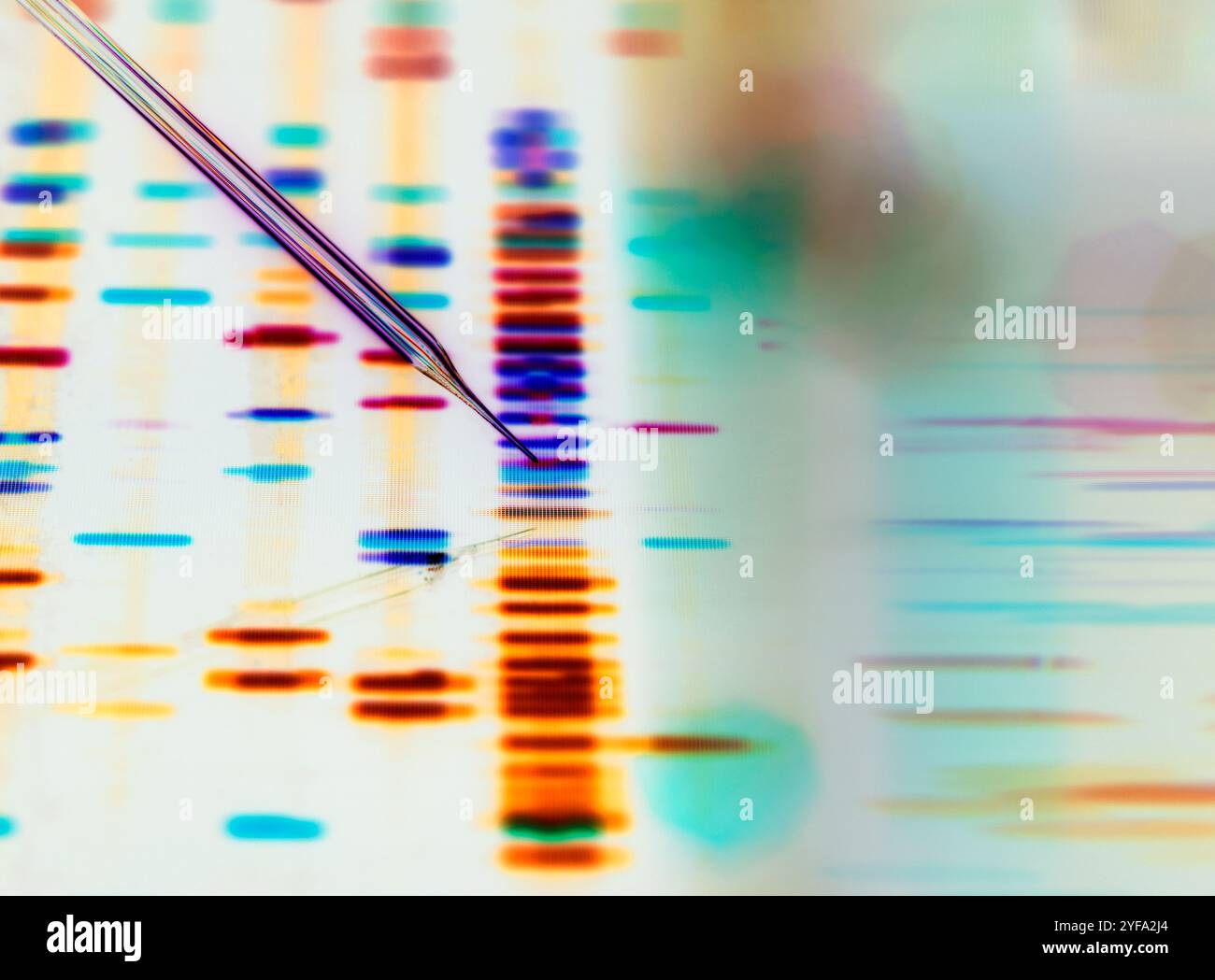 Gene Editing, Conceptual image of a micro pipette editing human DNA ...