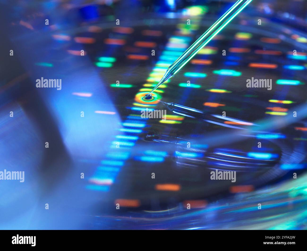 Gene Editing, Conceptual image of a micro pipette editing human DNA ...