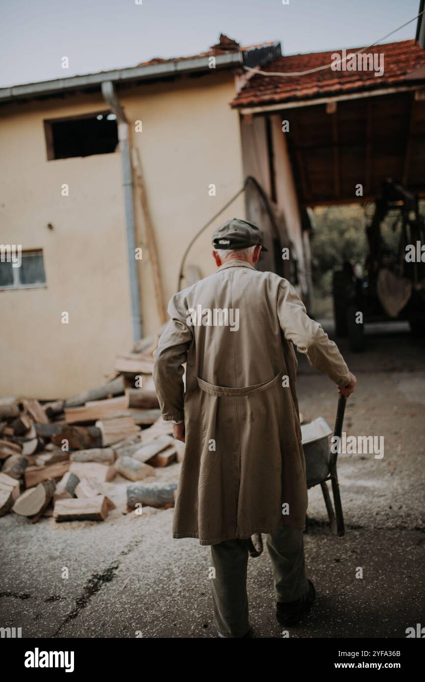 Old man rolling a wheelbarrow towards the pile of cut firewood Stock ...