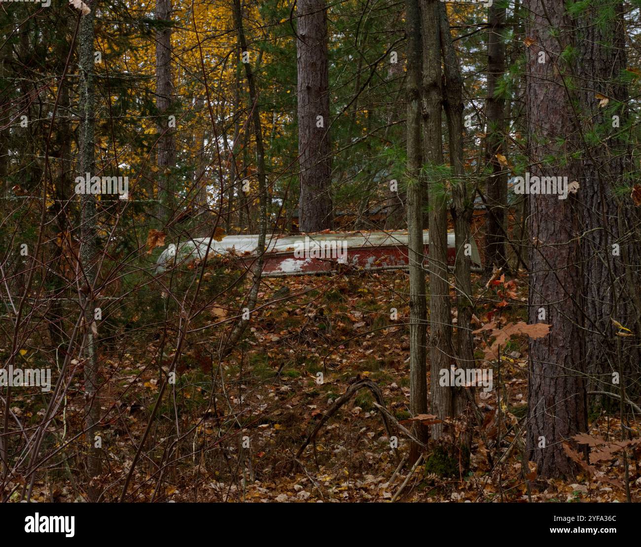 row boat trees fall colors Stock Photo - Alamy