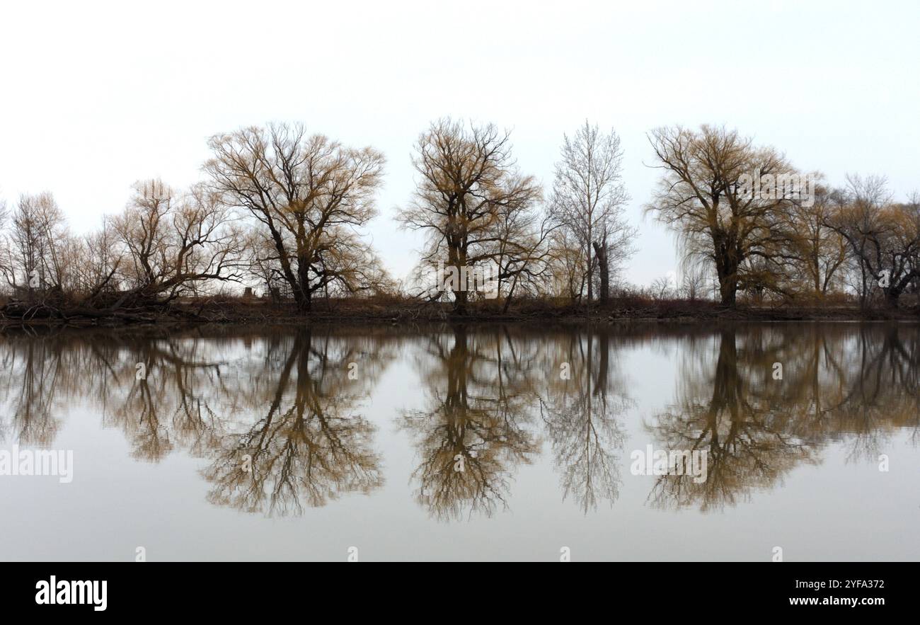 water reflection willow trees fall colors Stock Photo - Alamy
