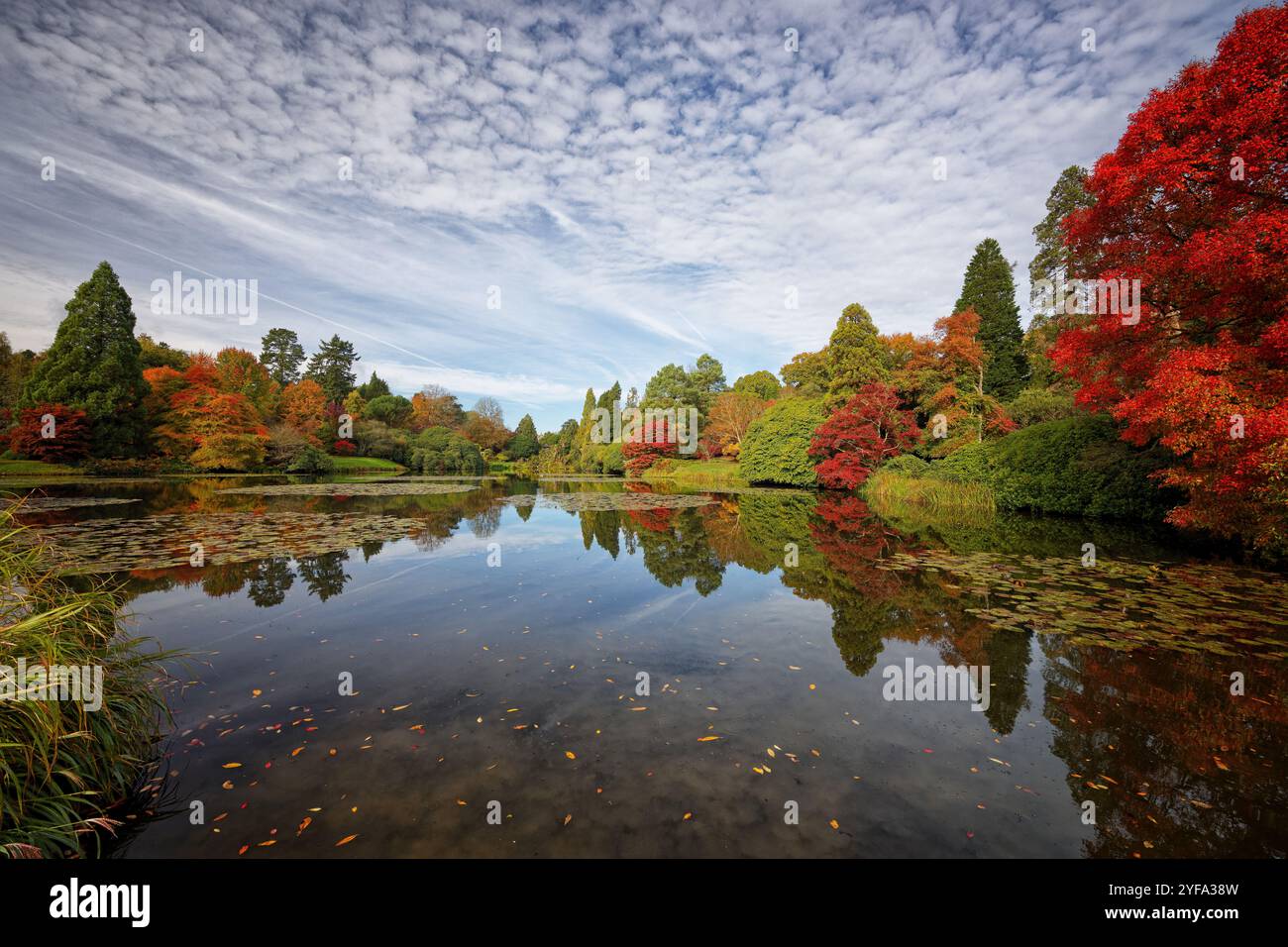 Autumn in England UK Stock Photo - Alamy