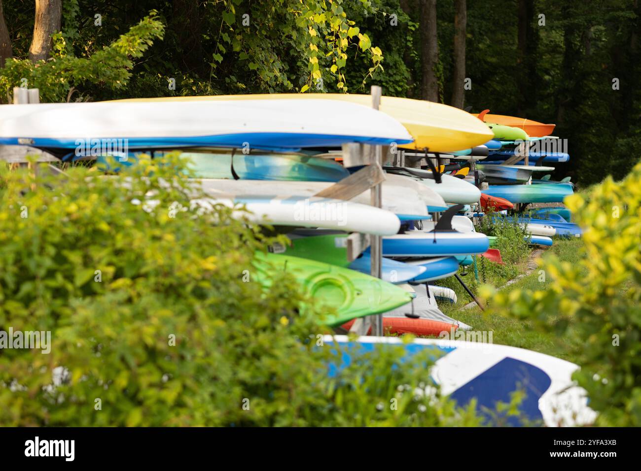 Colorful paddle boards and kayaks on a boat rack Stock Photo - Alamy