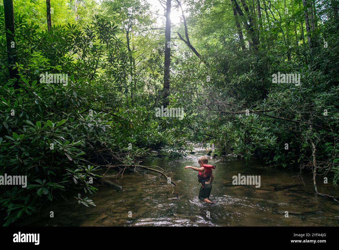 A boy walks in a shallow creek in forest Stock Photo - Alamy