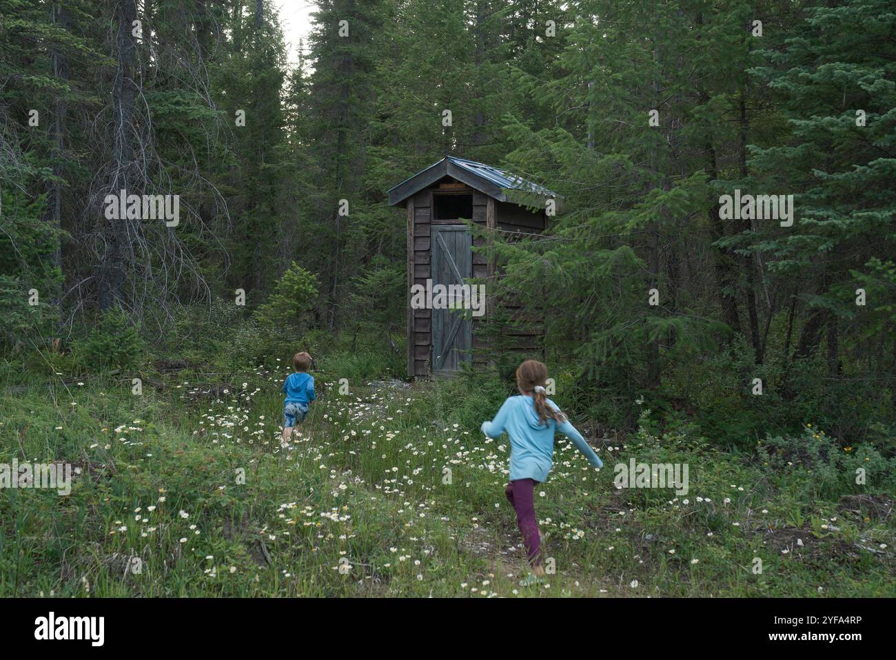 Two children play explore forest hi-res stock photography and images ...