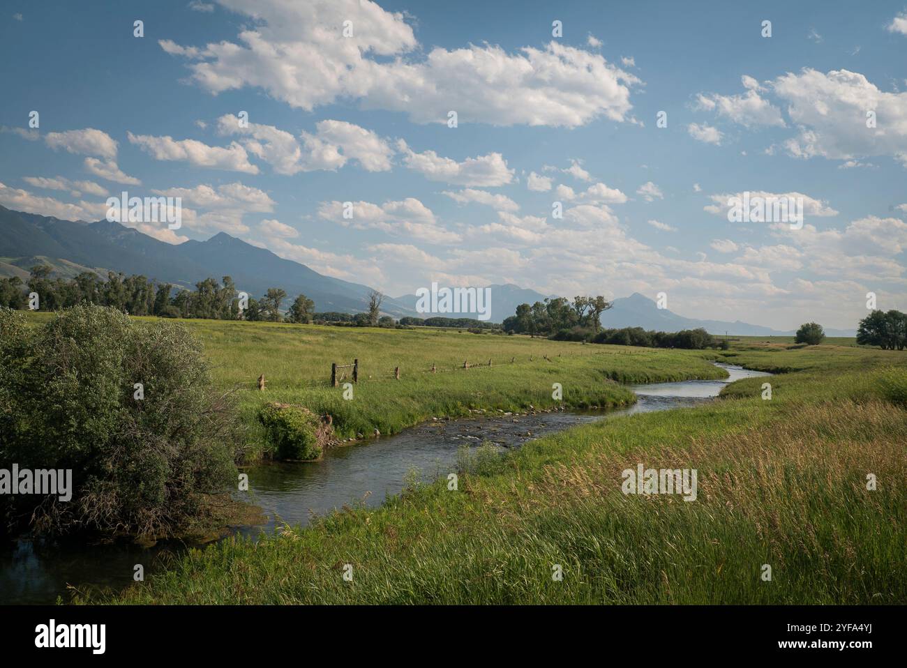 A small creek cuts through tall grasses in a wide valley Stock Photo ...