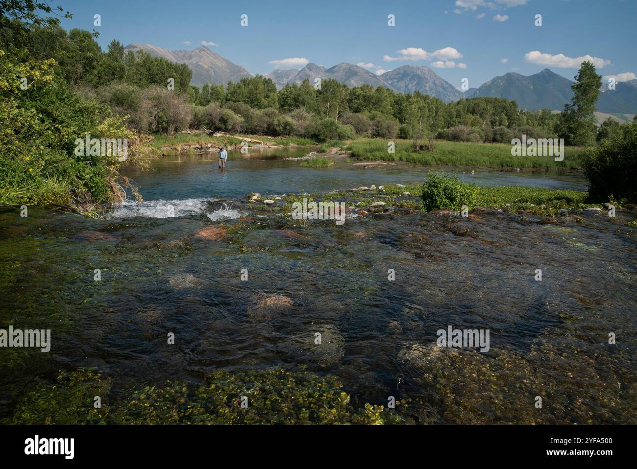 A crystal clear spring emerges from the greenery and joins a river ...