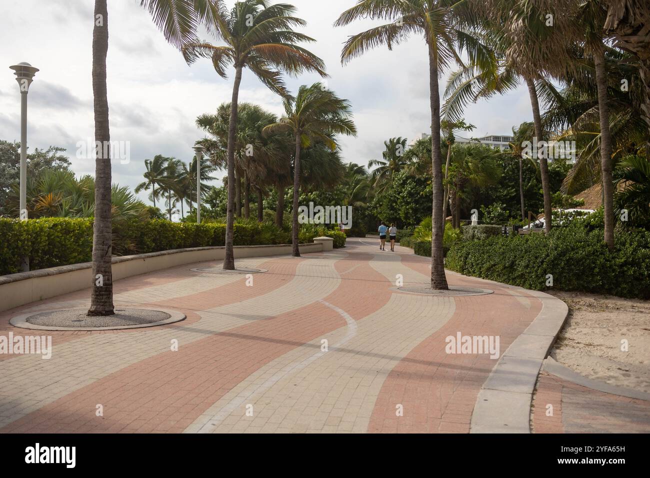 Palm-lined Miami Beach walkway with patterned pavement and joggers ...