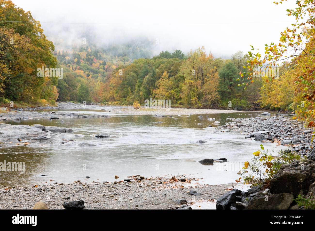 Peaceful landscape with trees hi-res stock photography and images - Alamy