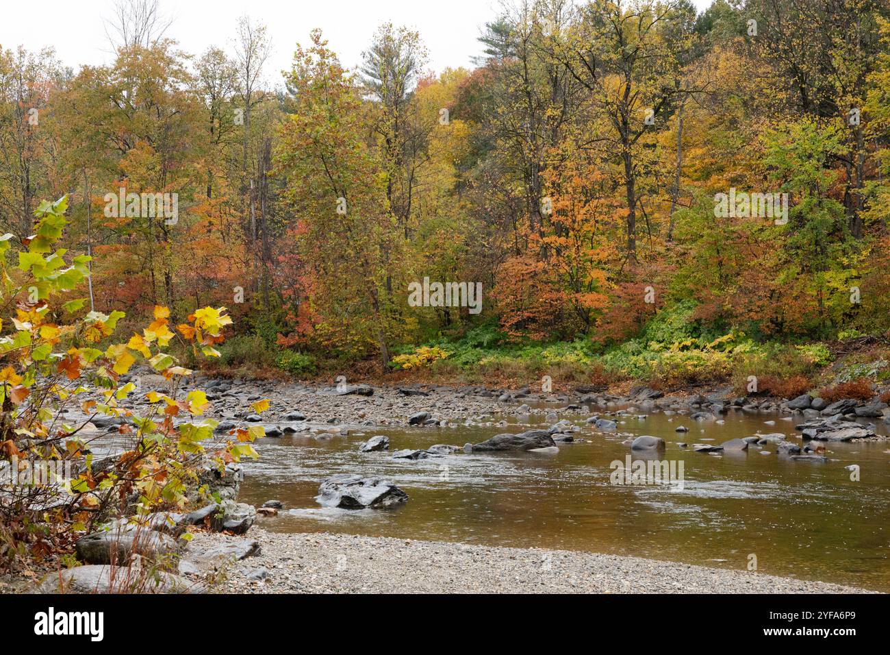 Tranquil river setting hi-res stock photography and images - Alamy