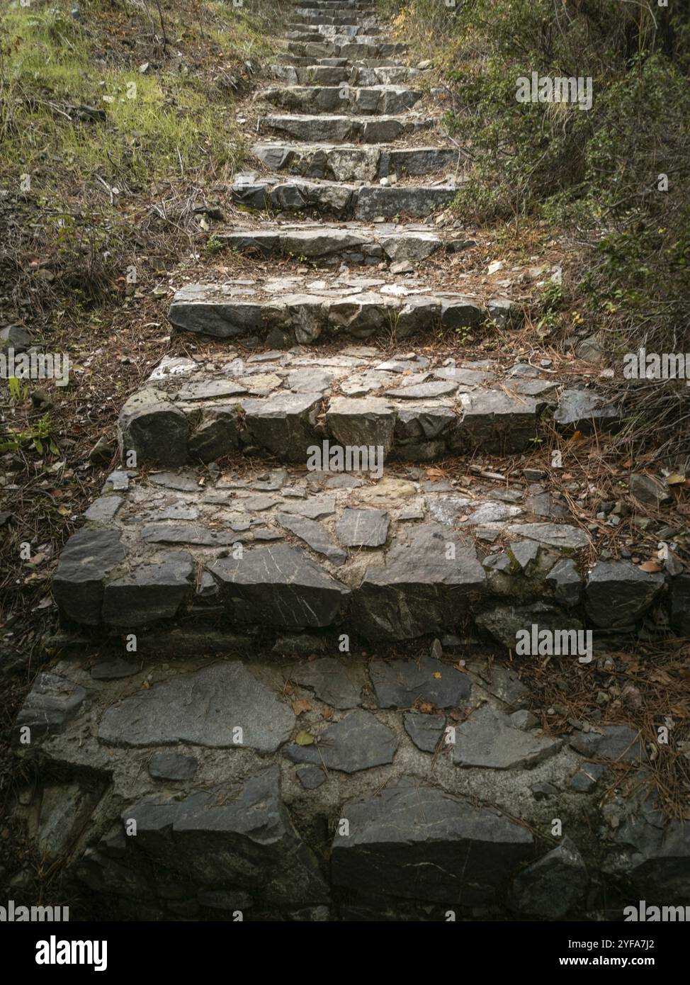 Stone stairs on a hiking path outdoor in nature Stock Photo - Alamy