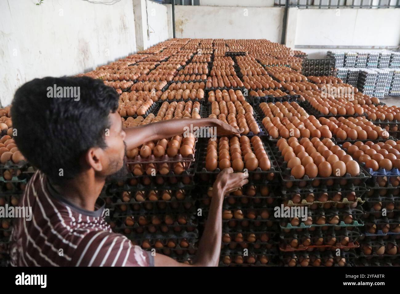 Eggs in warehouse Stock Photo - Alamy