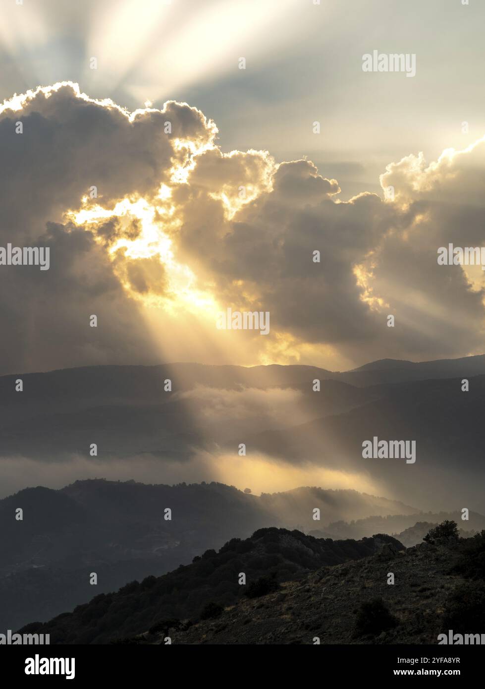 Sunshine sun shining bright hi-res stock photography and images - Alamy