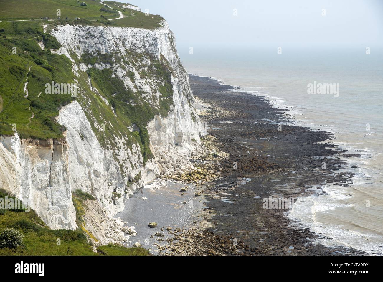 White cliffs of Dover national trust park with footpath for hiking ...