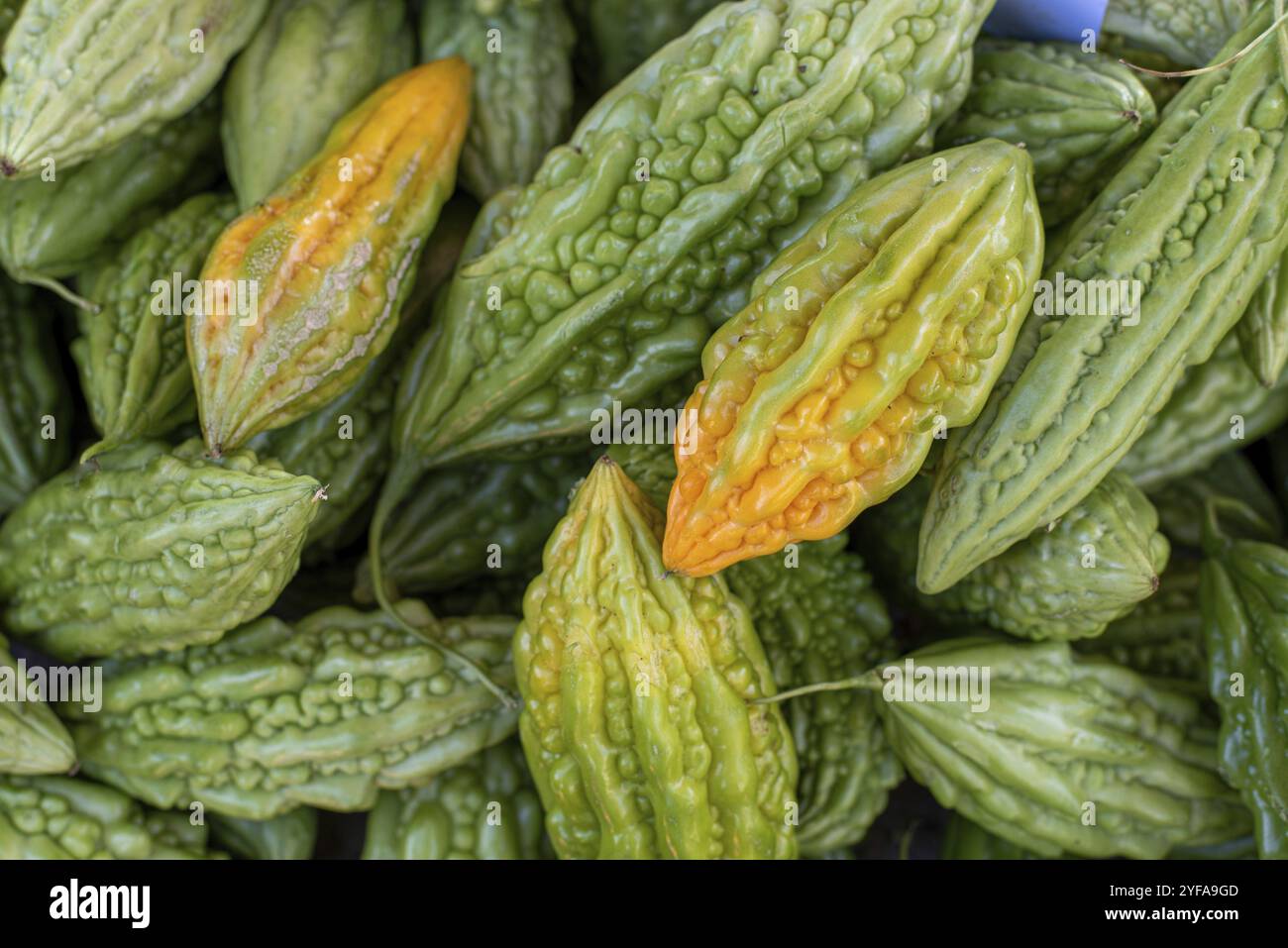 Family meal hi-res stock photography and images - Alamy