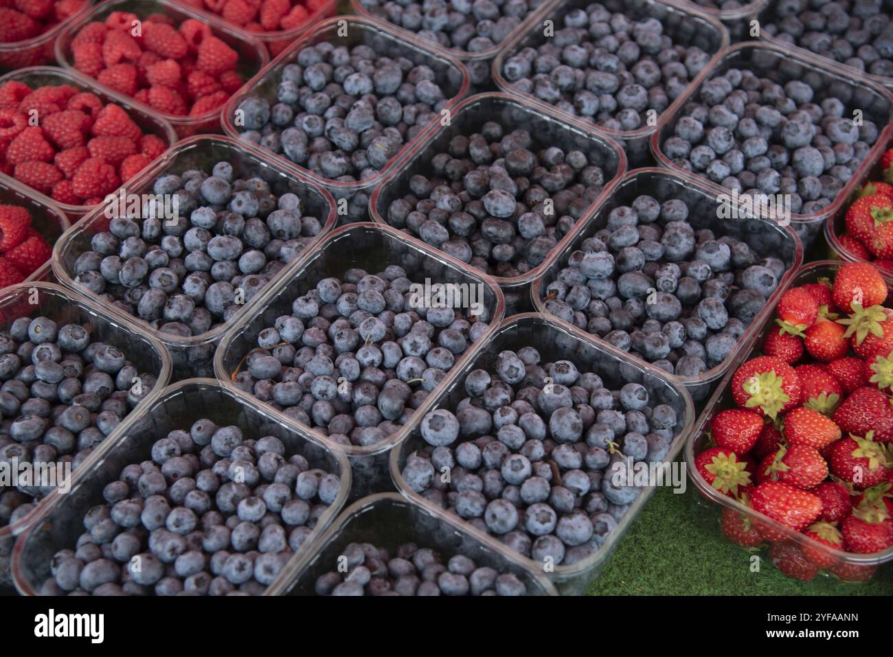 Blueberries in boxes sale hi-res stock photography and images - Alamy