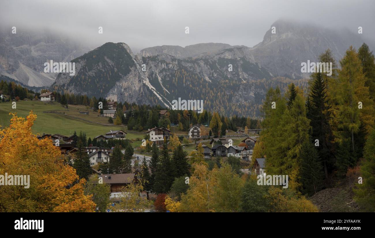 Traditional wooden cottage mountain houses in the green field in the ...