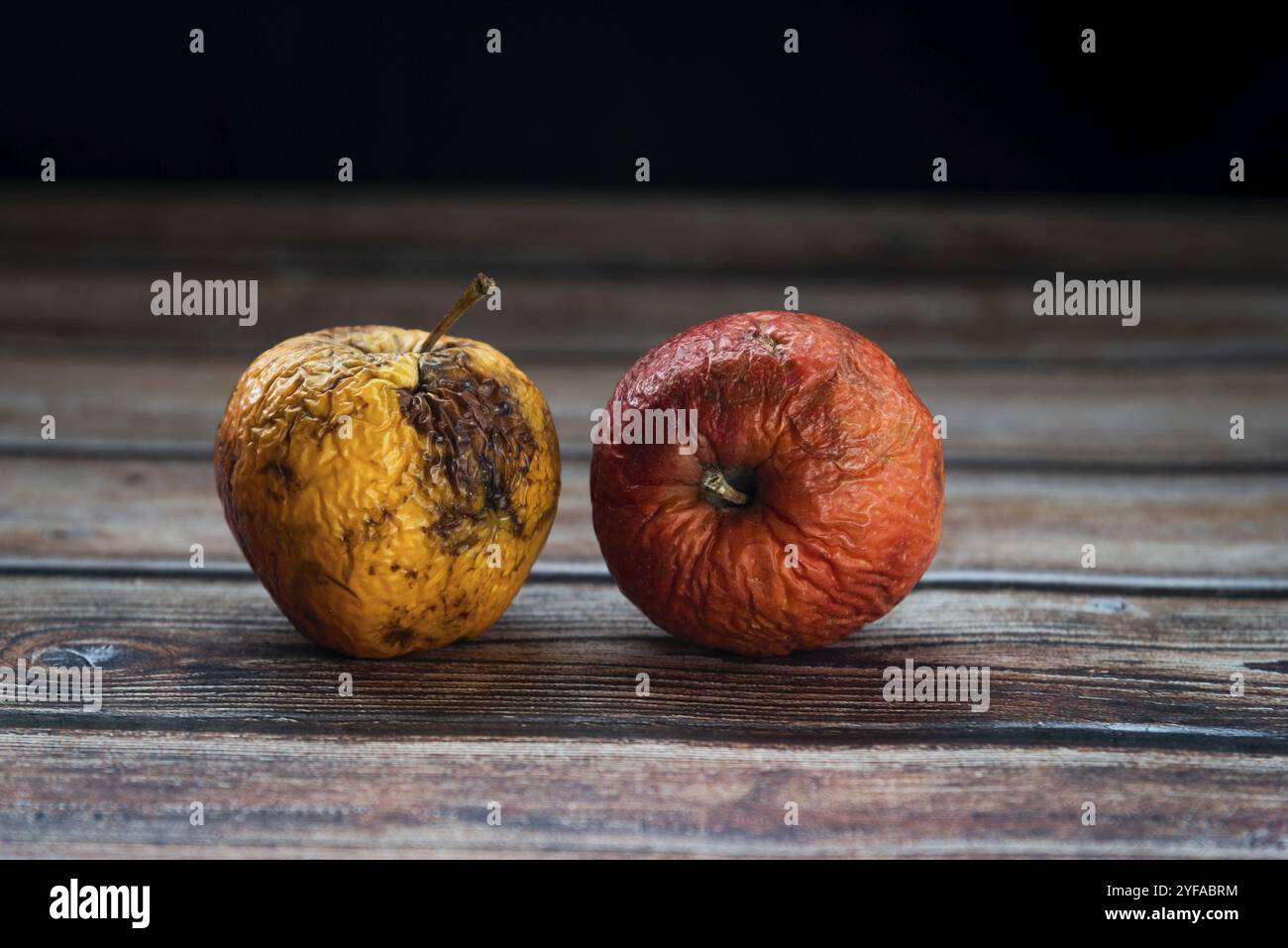 Red wilted rotten apples on a table. Bacteria infected rotten fruit ...