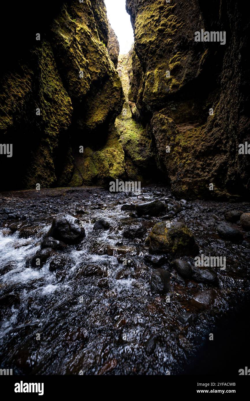 Captivating narrow canyon with moss-covered walls and a flowing stream ...