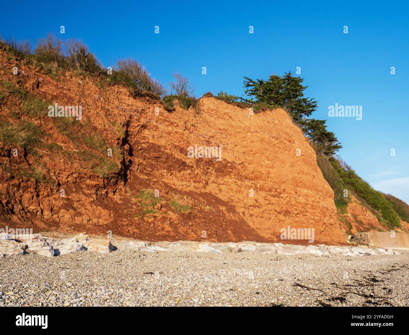 Red Triassic Mudstone cliffs between Beer and Seaton, Devon, UK Stock ...