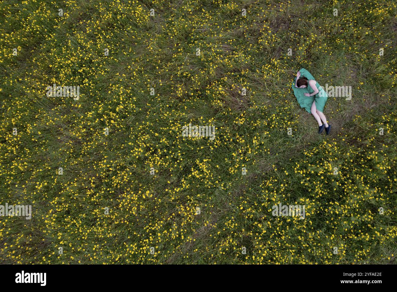 Overhead view of woman laying down on blooming meadow grass field ...
