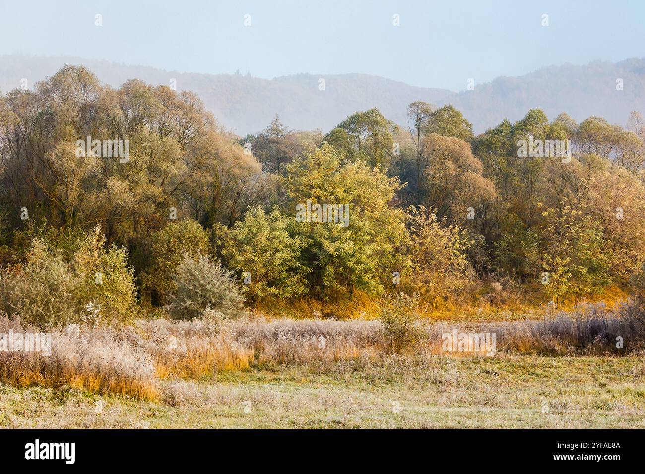 countryside landscape in autumn fog. outdoor adventure. sunny morning ...