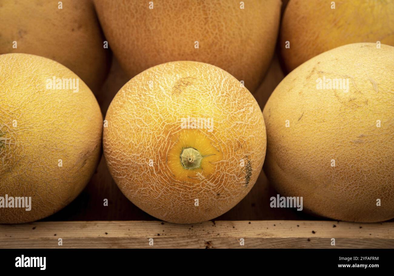 Group of Yellow fresh healthy pineapple fruits in a stack in a fruit ...