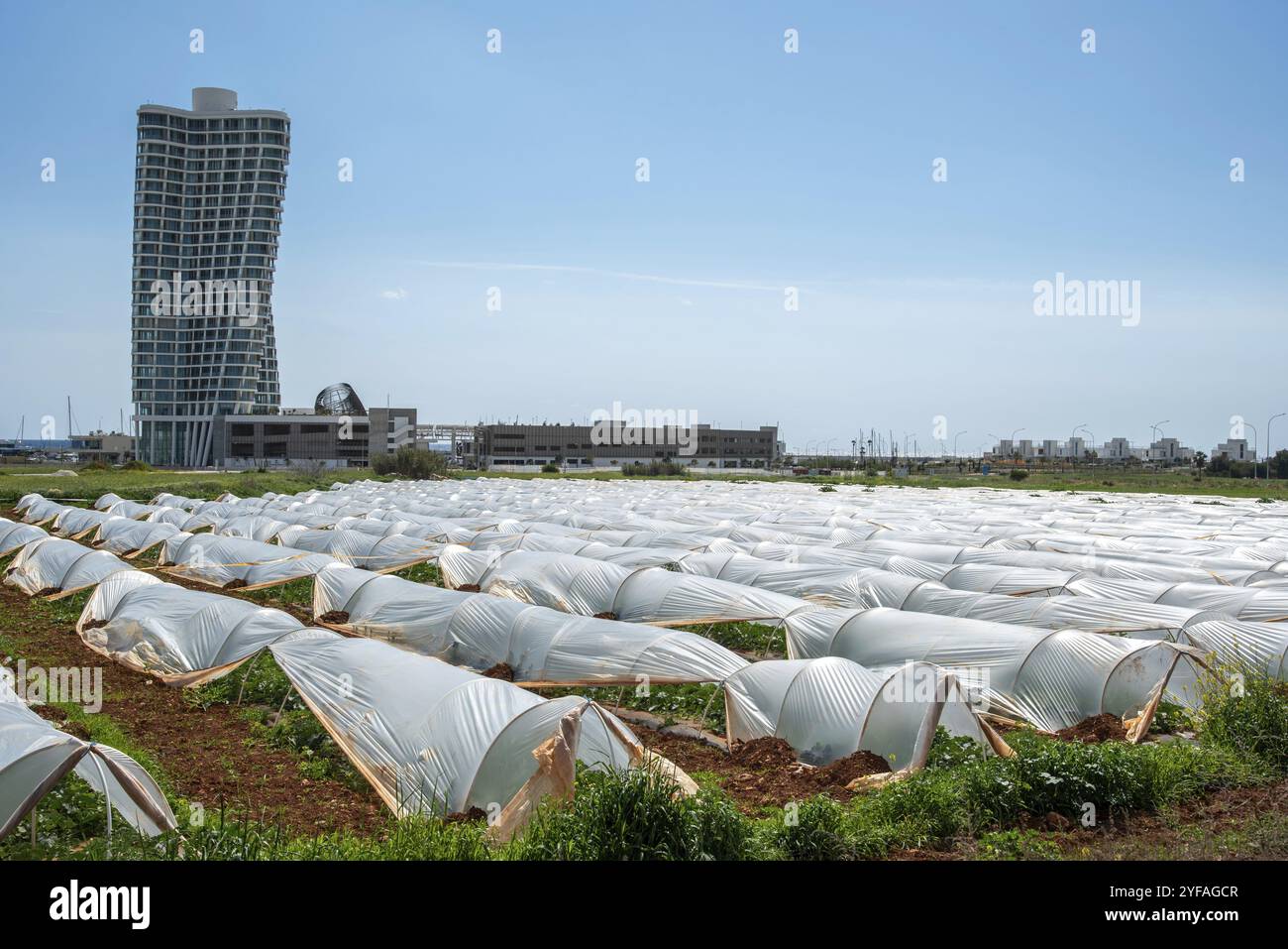 Greenhouse in the field for growing vegetables and modern building ...