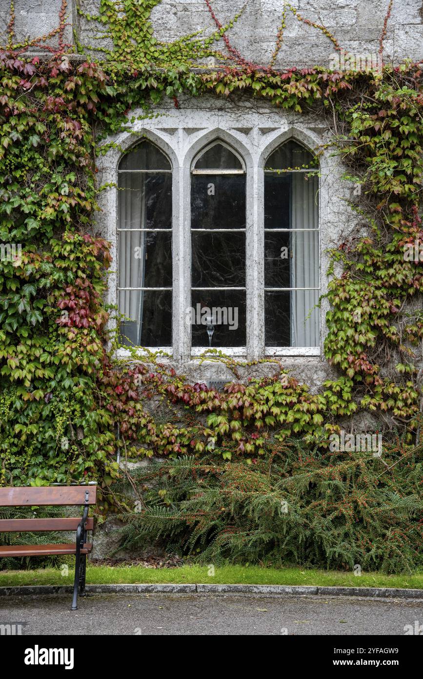 Facade of a building with wall covered with green foliage and ...
