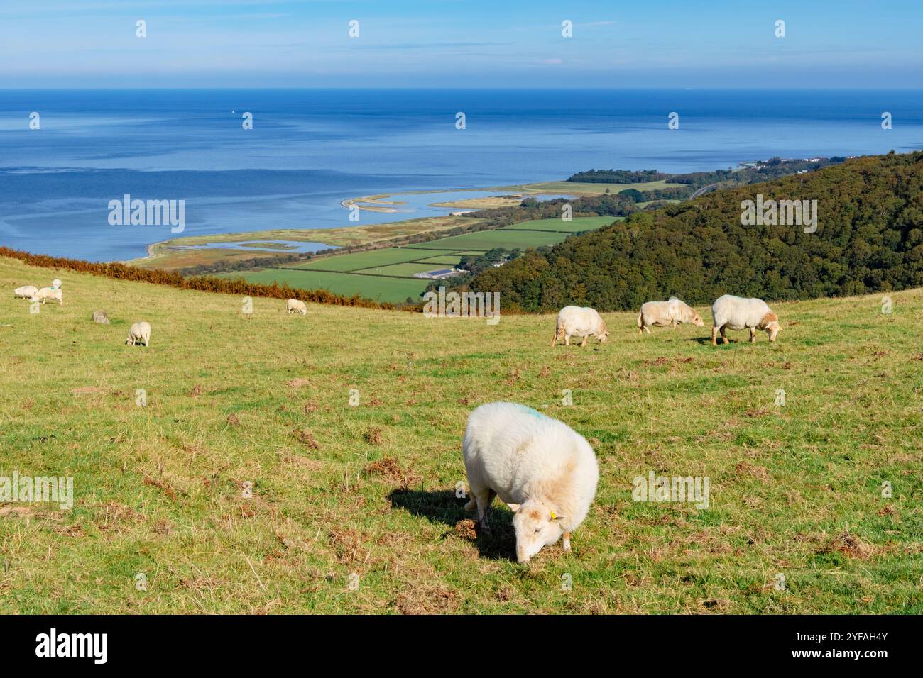 Glan mountain hi-res stock photography and images - Alamy