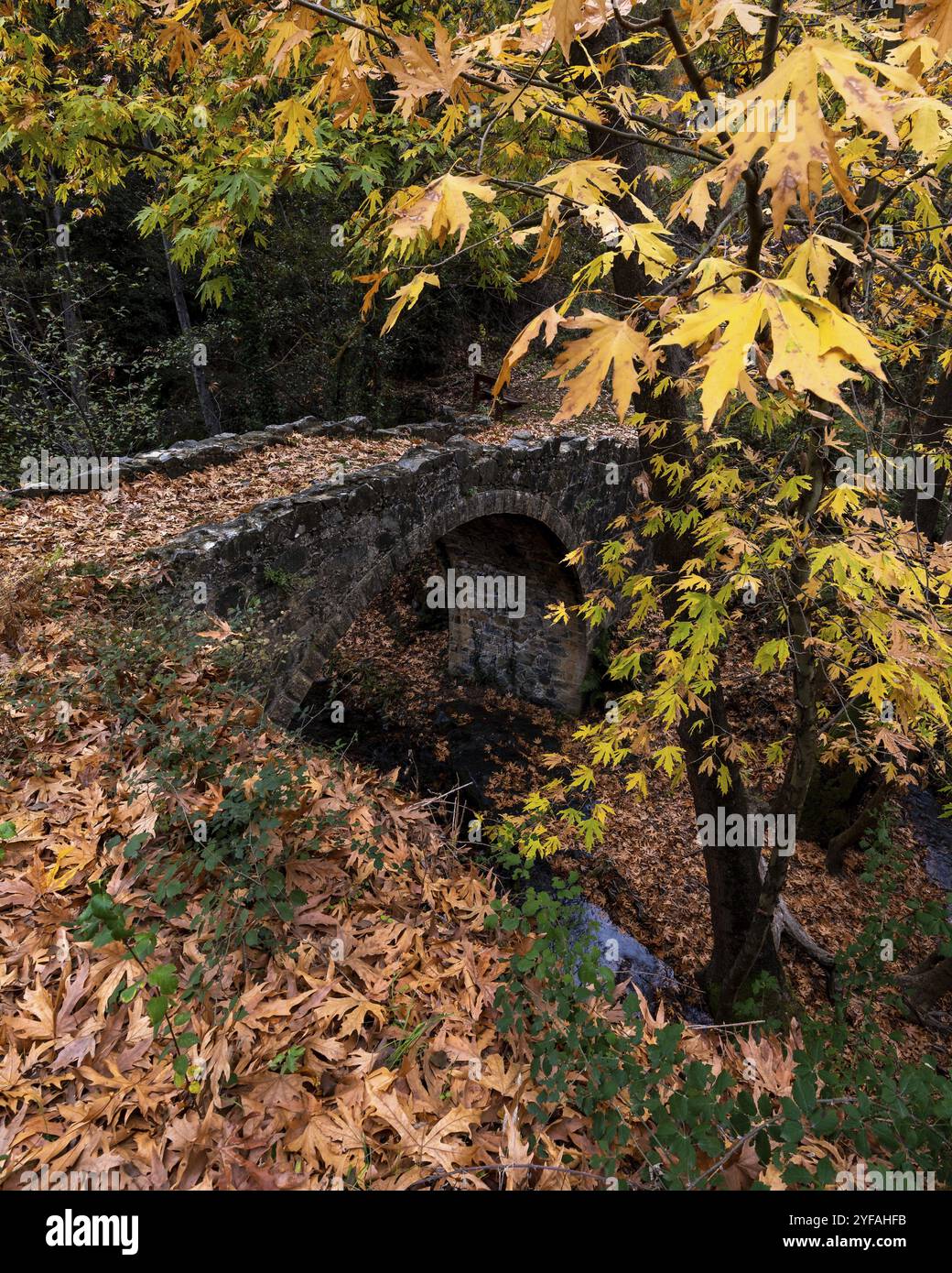 Autumn landscape with river flowing below an ancient stoned bridge and ...