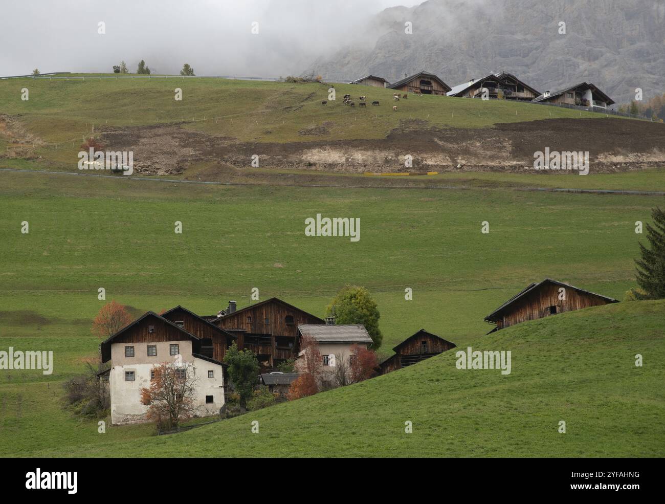 Traditional wooden cottage mountain houses in the green field in the ...