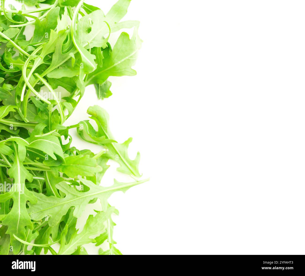 Fresh farm arugula on a white background Stock Photo - Alamy