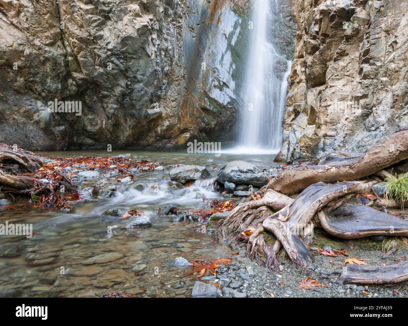 Waterfall splashing on a small lake with beautiful yellow leaves and ...