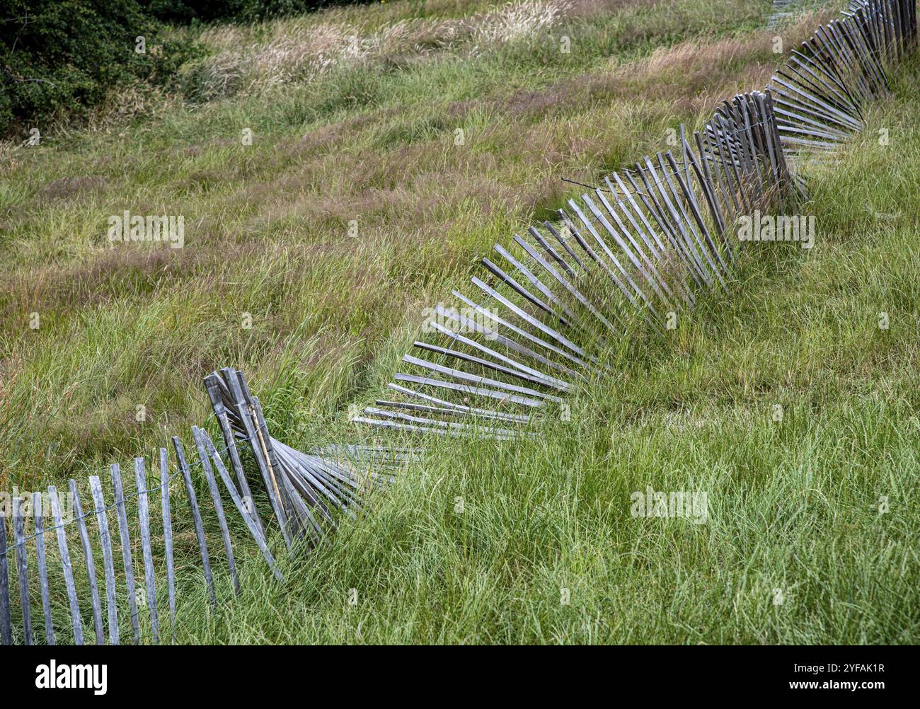 Agricultural fields fence on hi-res stock photography and images - Alamy
