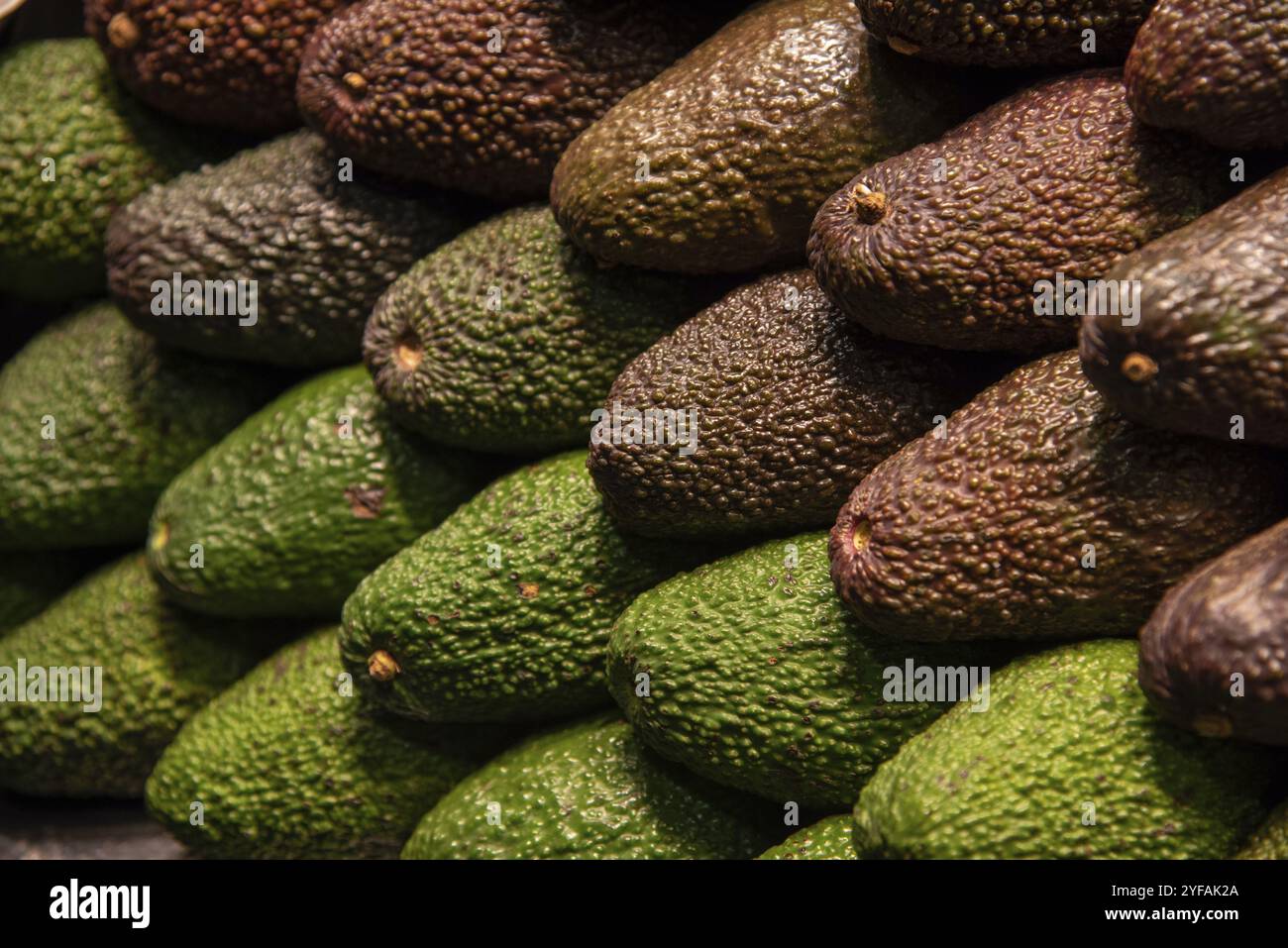 Group of fresh avocado fruits on a fruit market for a healthy lifestyle ...
