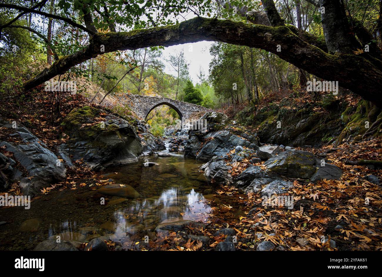 Medieval stoned bridge water flowing in the river in autumn. Elia ...