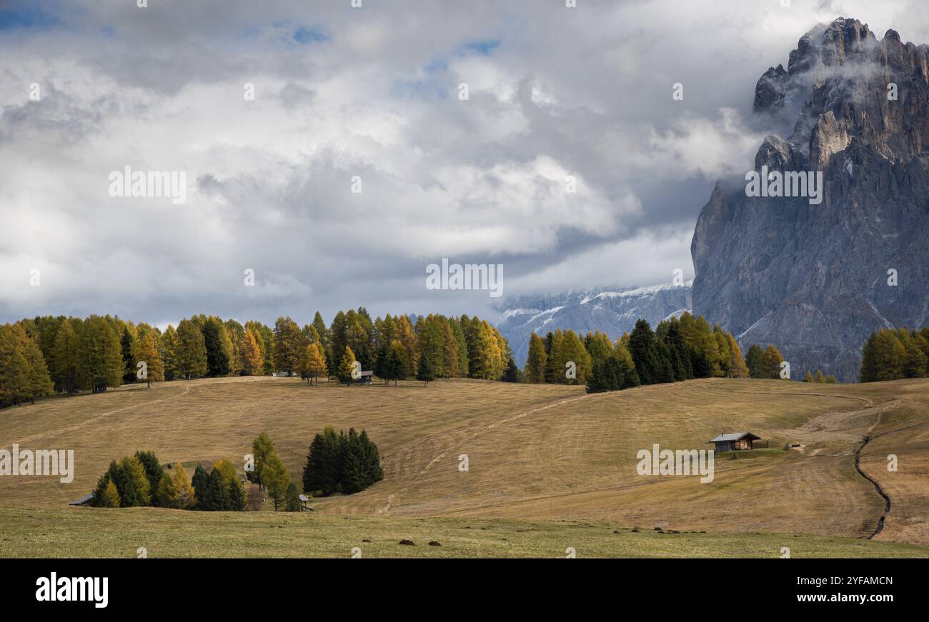 Landscape with beautiful autumn meadow field and the amazing Dolomite ...