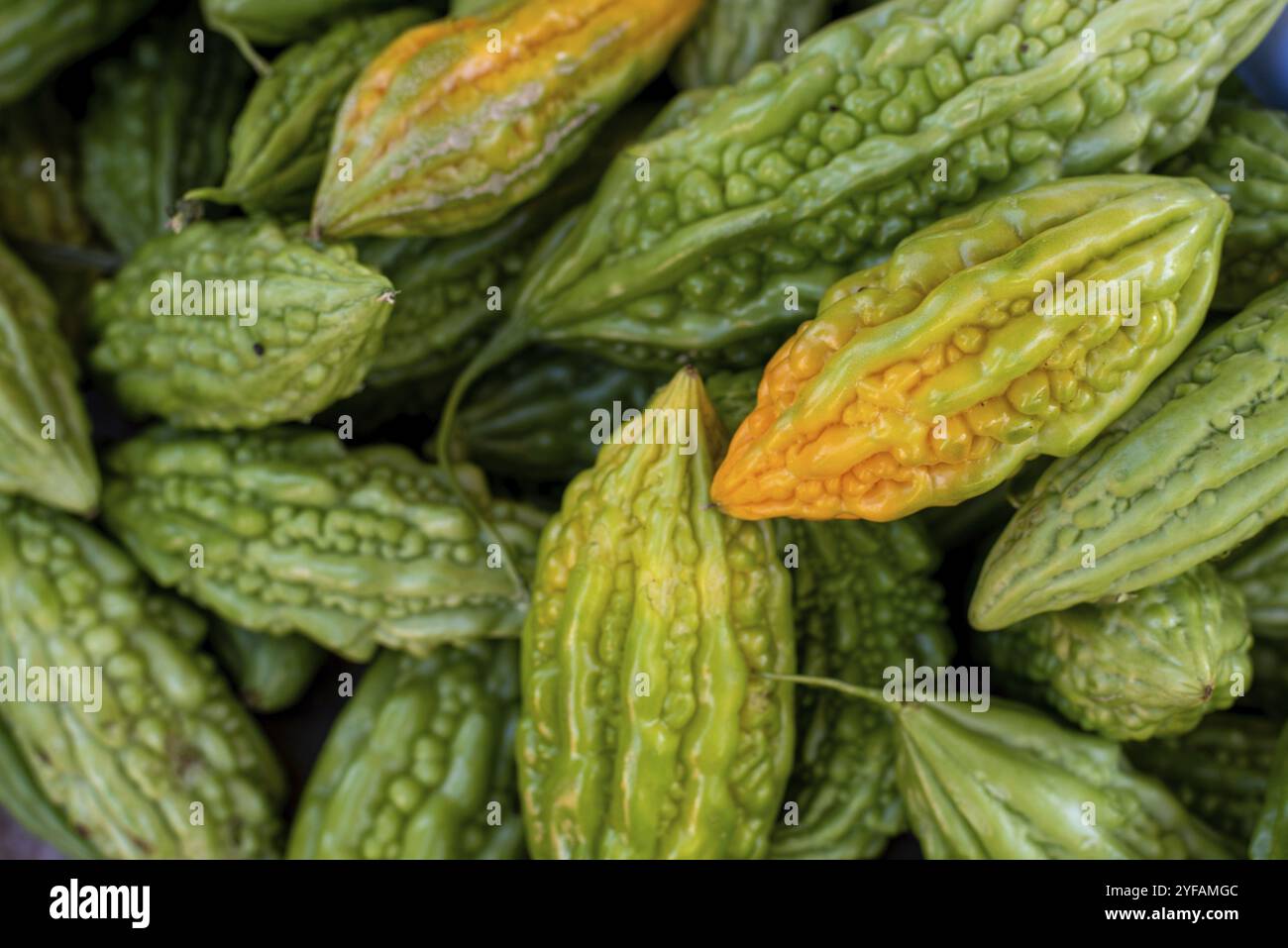 Kho Qua or Bitter lemon vegetable is a healthy vietnamese food and ...