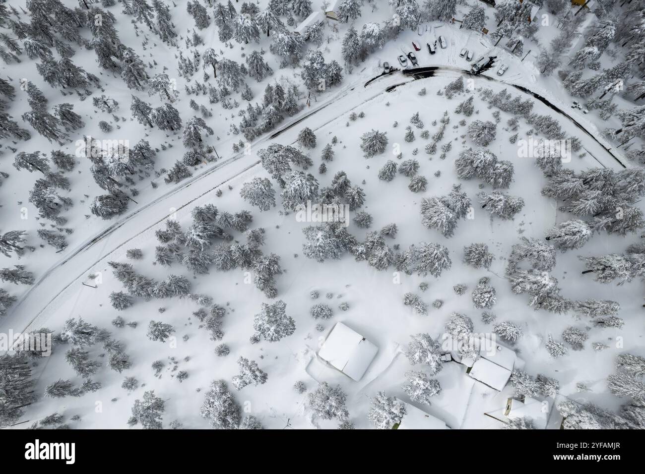 Drone scenery of car vehicles covered in snow on parked on a frozen ...