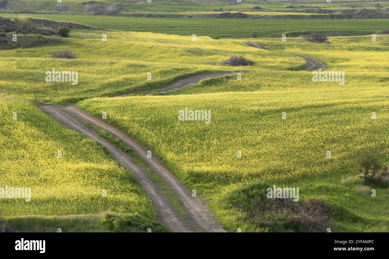 Empty highway landscape hi-res stock photography and images - Alamy