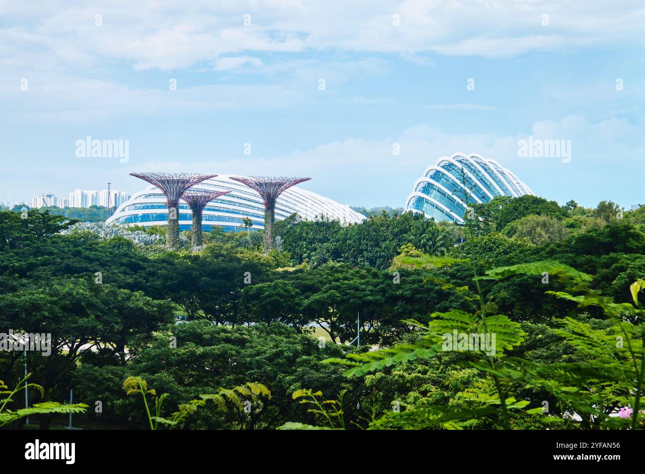 Singapore - January 18, 2025: Gardens by the Bay with Domes and Super Tree Structures Stock ...