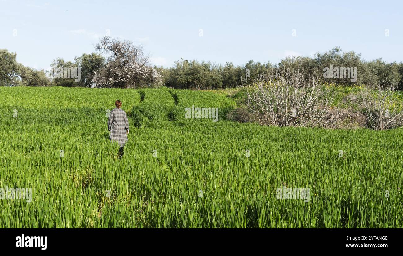 Woman with long coat walking alone through a green meadow field. People ...