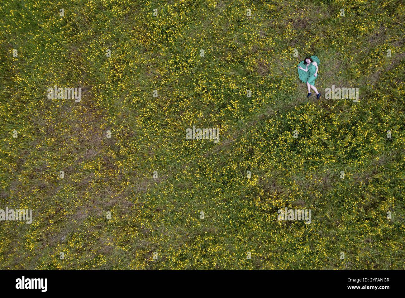 Overhead view of woman laying down on blooming meadow grass field ...