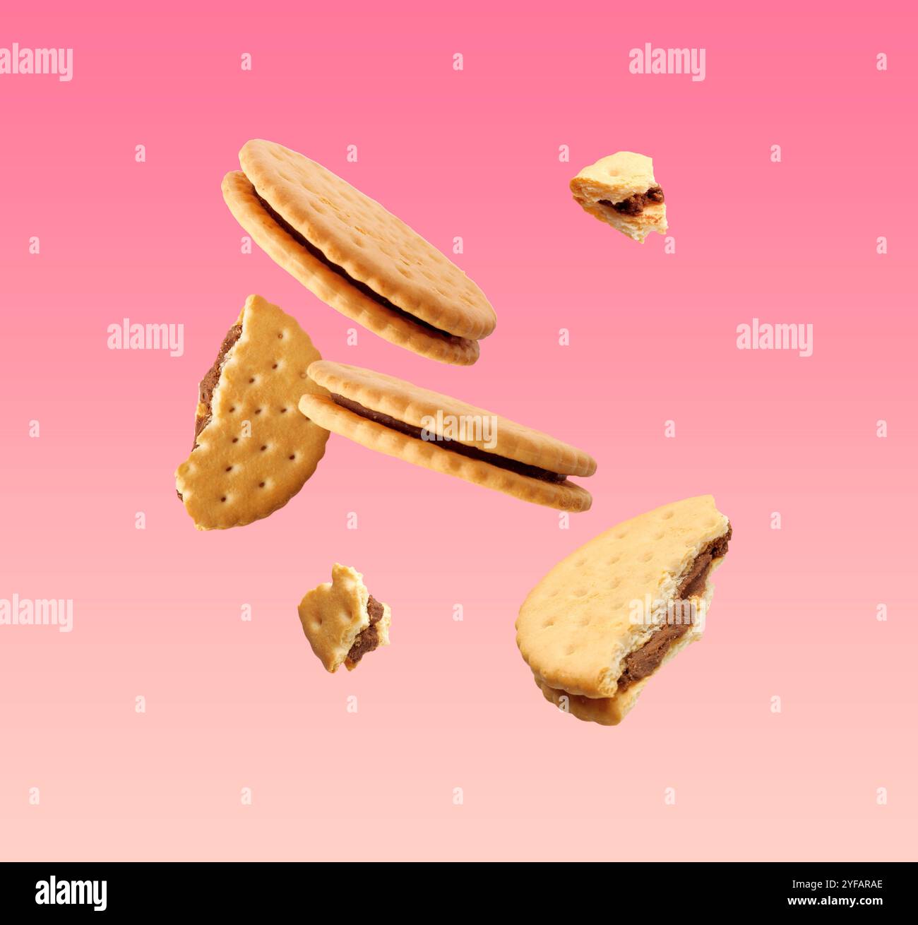 Tasty broken sandwich cookies in air on pink gradient background Stock ...
