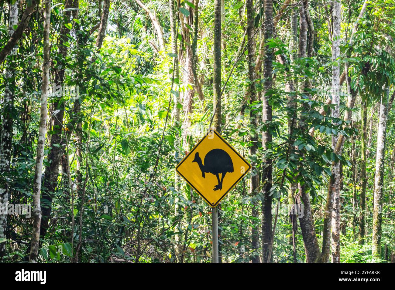 Sign in daintree rainforest hi-res stock photography and images - Alamy