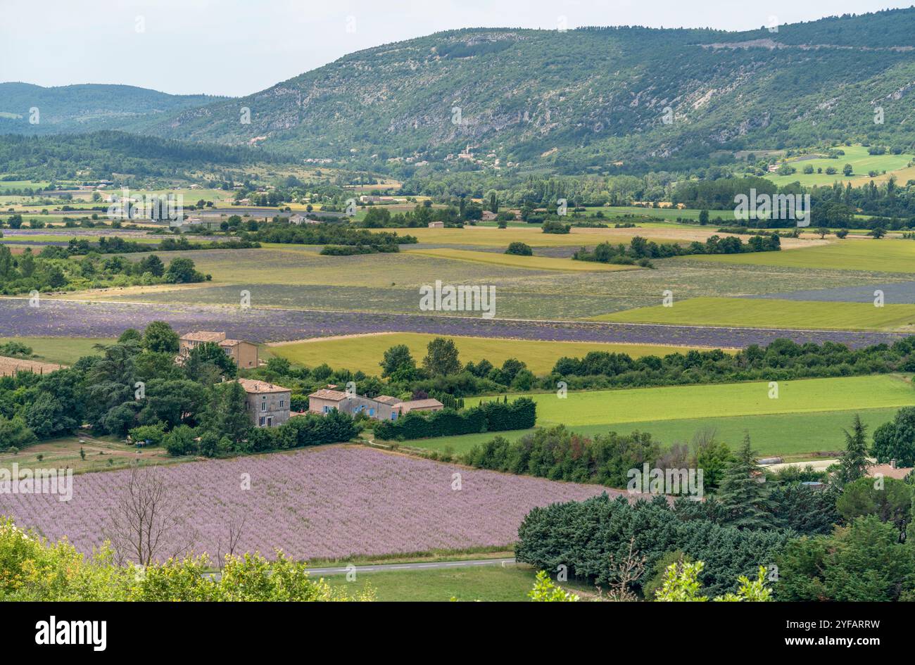 Impression around Mont Ventoux, a mountain in the Provence region of ...