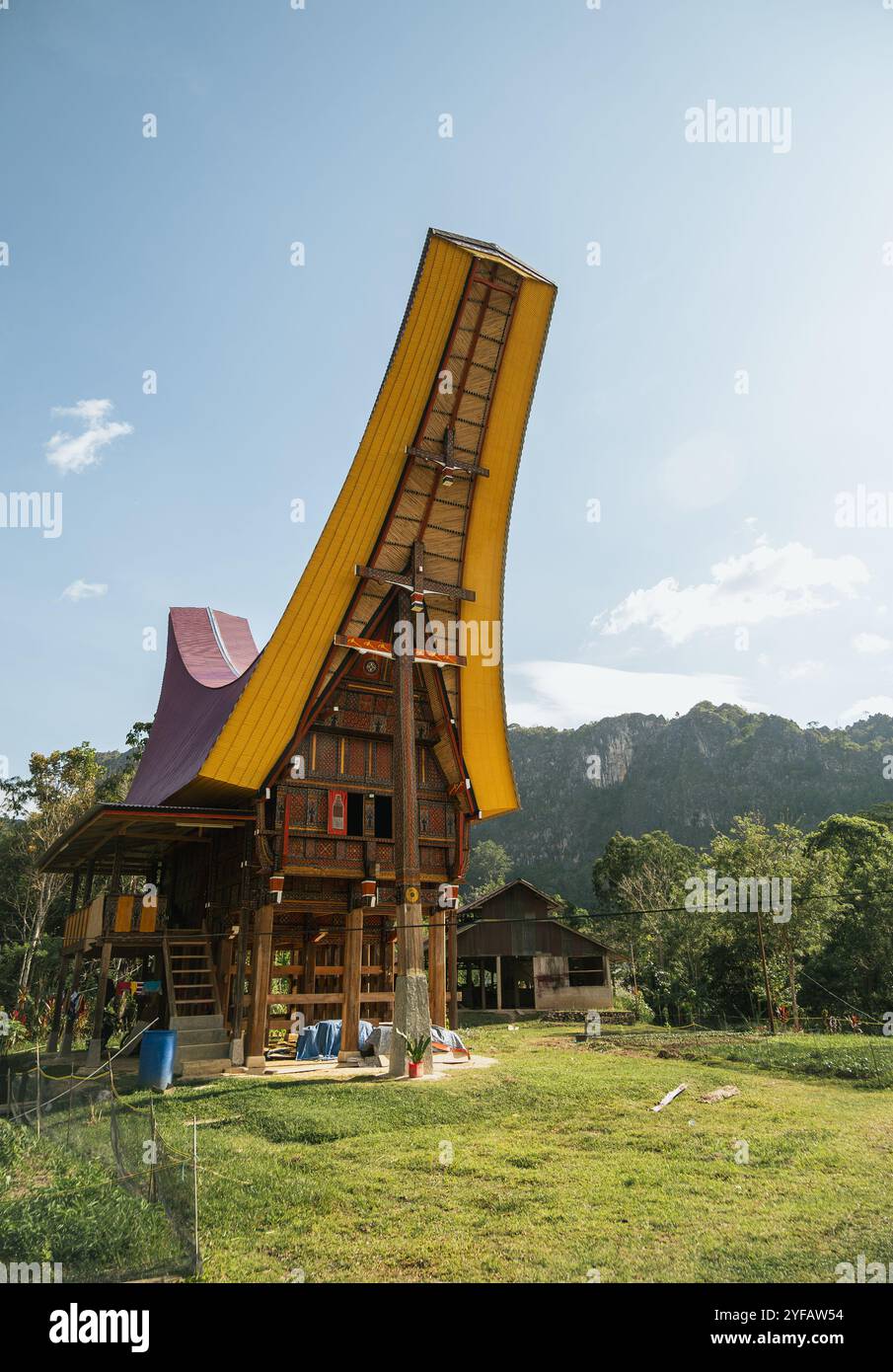 Photo of a typical Torajan traditional house called Tongkonan in ...